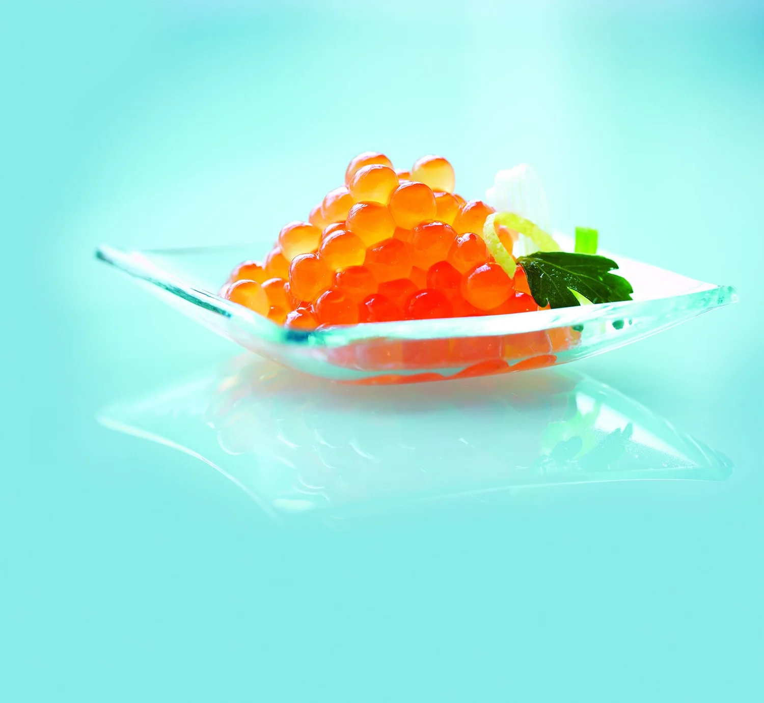 PACIFIC SALMON — NDS