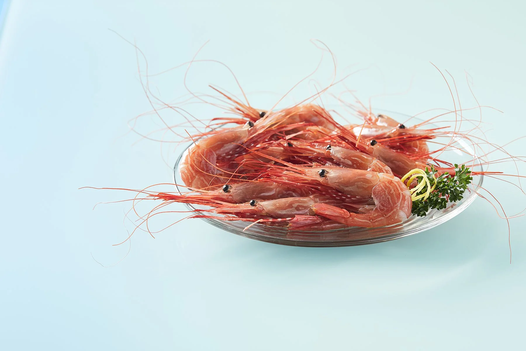 SIDESTRIPE SHRIMP — NDS