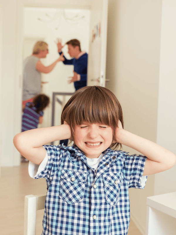 Domestic Violence Defense Durango CO | Expert Legal Help ...