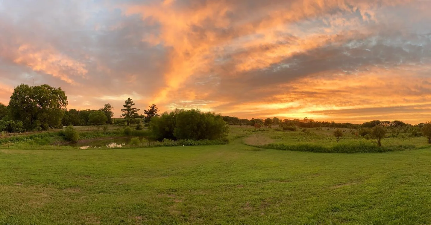 About Dr. Paul Rudy — Dr. Paul Rudy