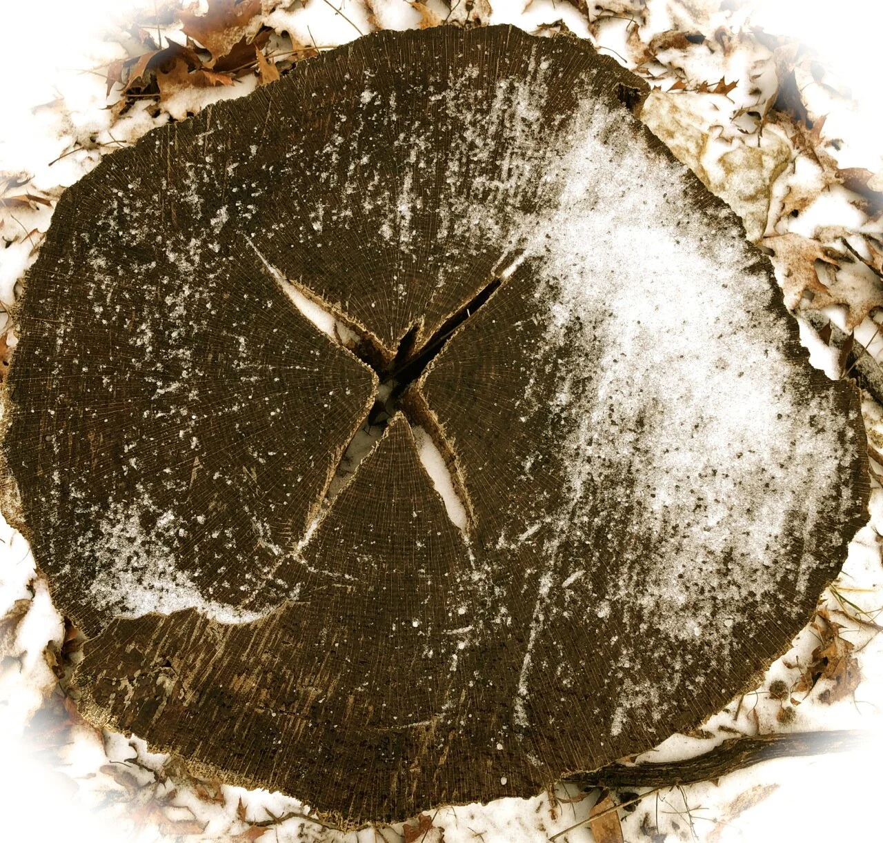 Listening deeply to the Mother Earth, honoring the spirits and energies ...