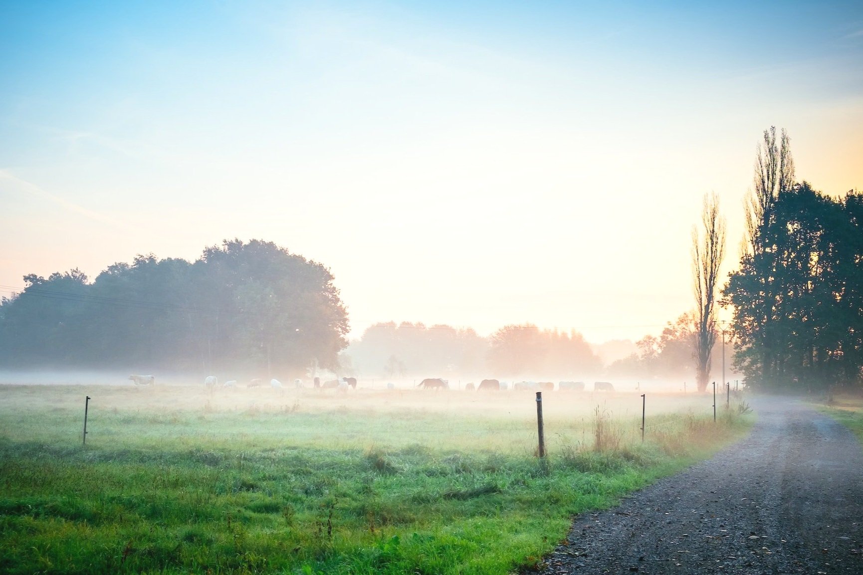 A Busy Mom's Guide to Quiet Time with God | Heavenward Home