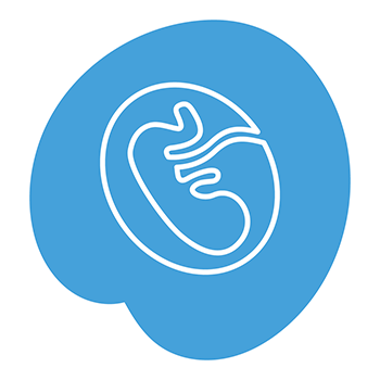 Pregnancy and Births — Australian Child and Youth Wellbeing Atlas