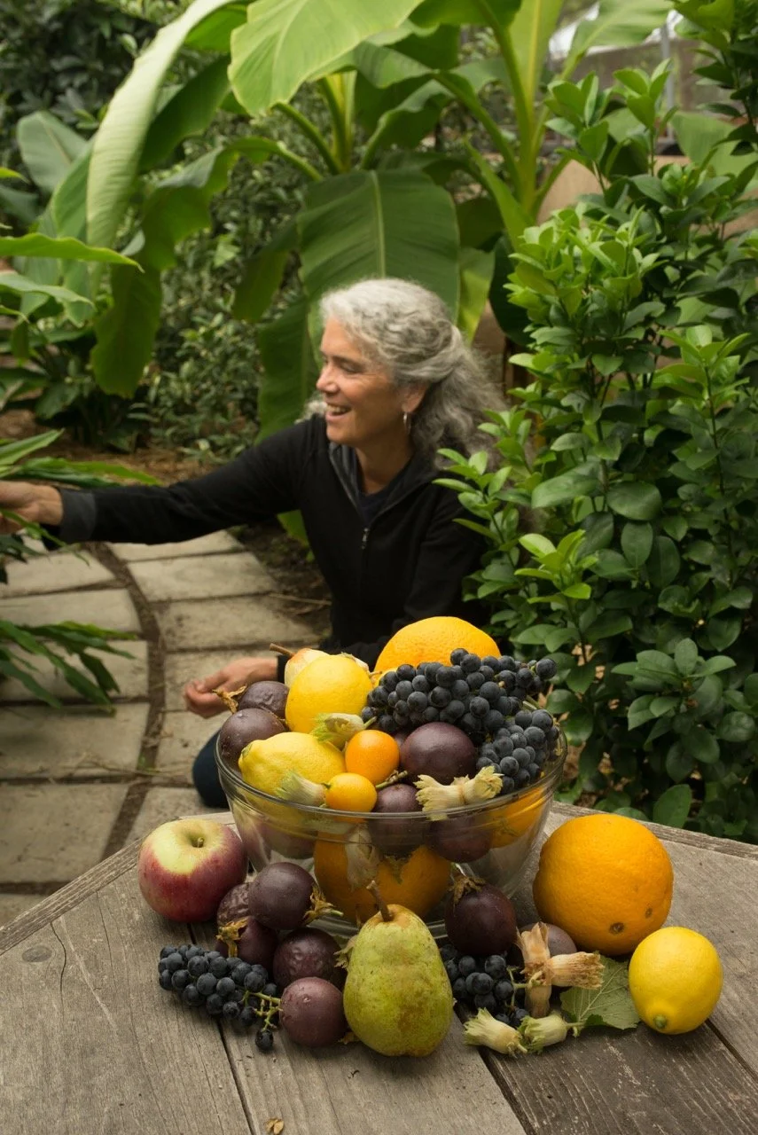 Growing avocados and oranges in Canada? Why not! — Sooke Garden Club