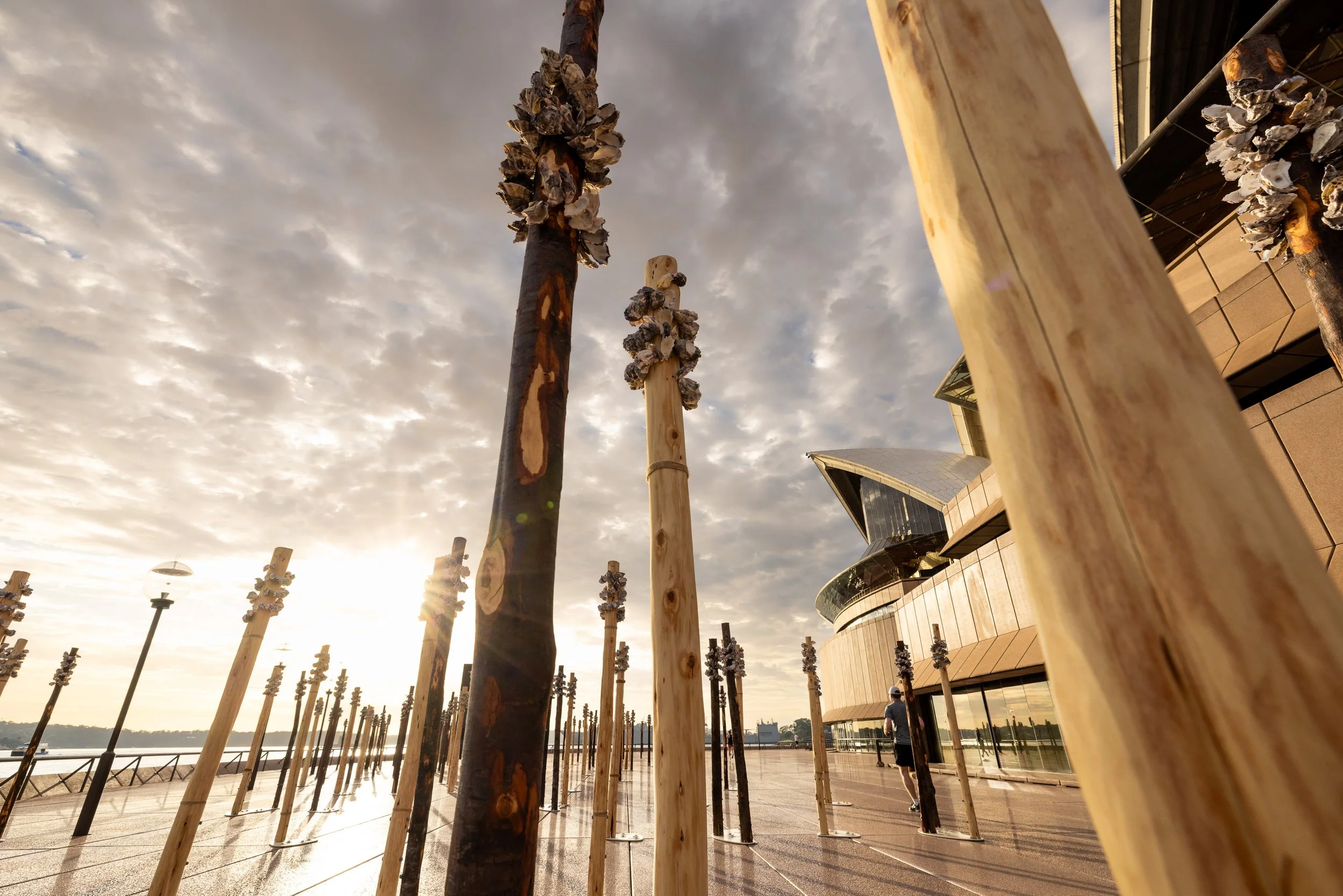 Monumental Public Art Work: Whispers, 2023 by Megan Cope at the Sydney ...