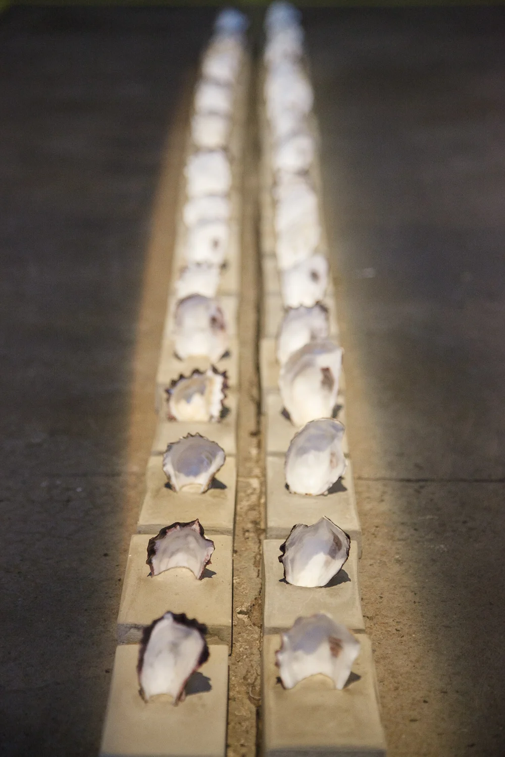 Foundations I & II — MEGAN COPE