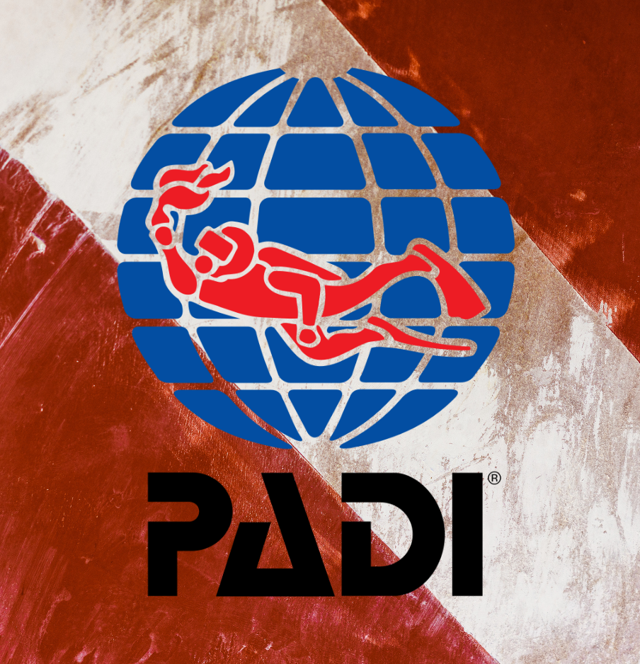 Virtual Dietitian available right on your screen for personalized ...