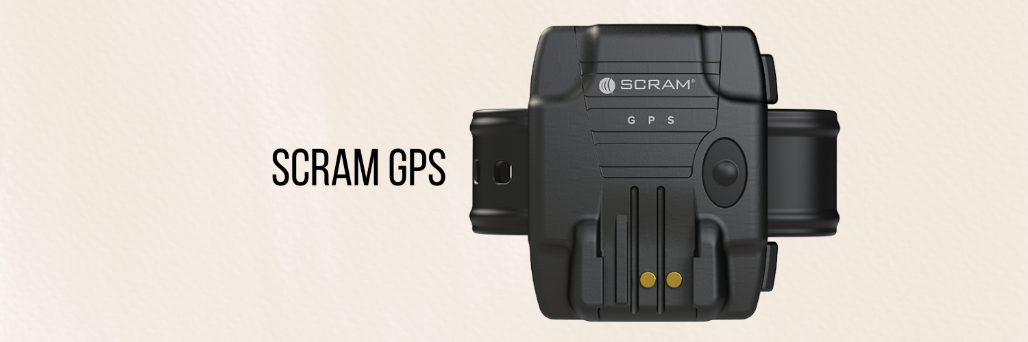 VEMS- Virginia Electronic Monitoring Systems, LLC