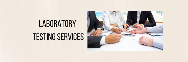 VEMS- Virginia Electronic Monitoring Systems, LLC