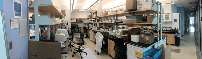 Class of 2024: Hongying (Hoy) Shen, PhD — 1907 Foundation