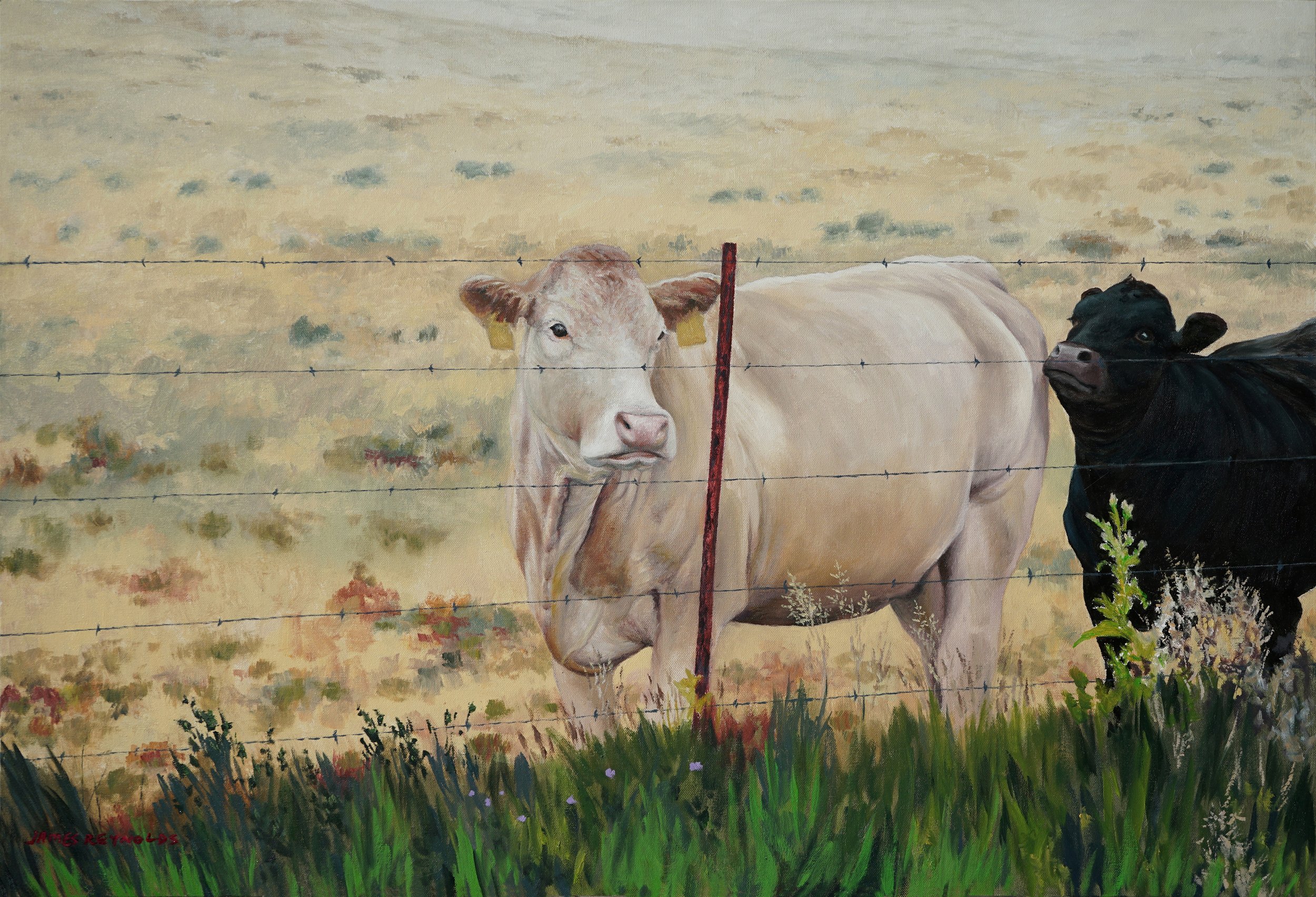 James Reynolds — Art at the Source