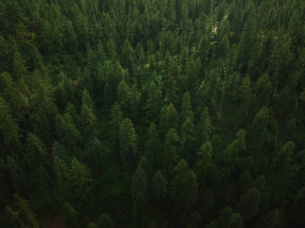 Personal Ranches — The Homestead Whitefish, Montana