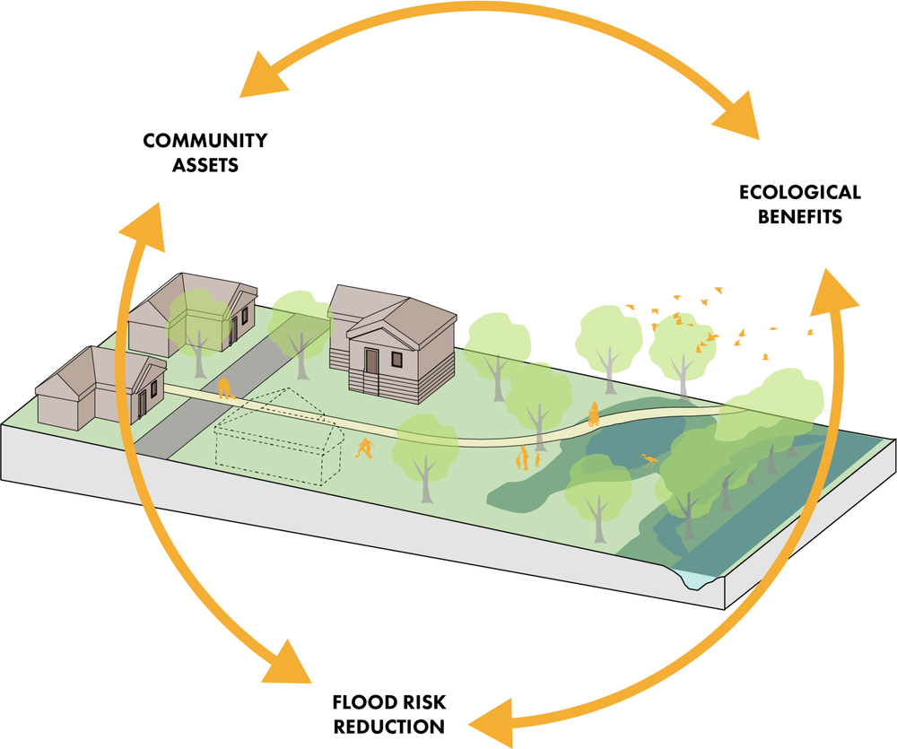 Work — Chestnut Bay Nature-based Flood Mitigation