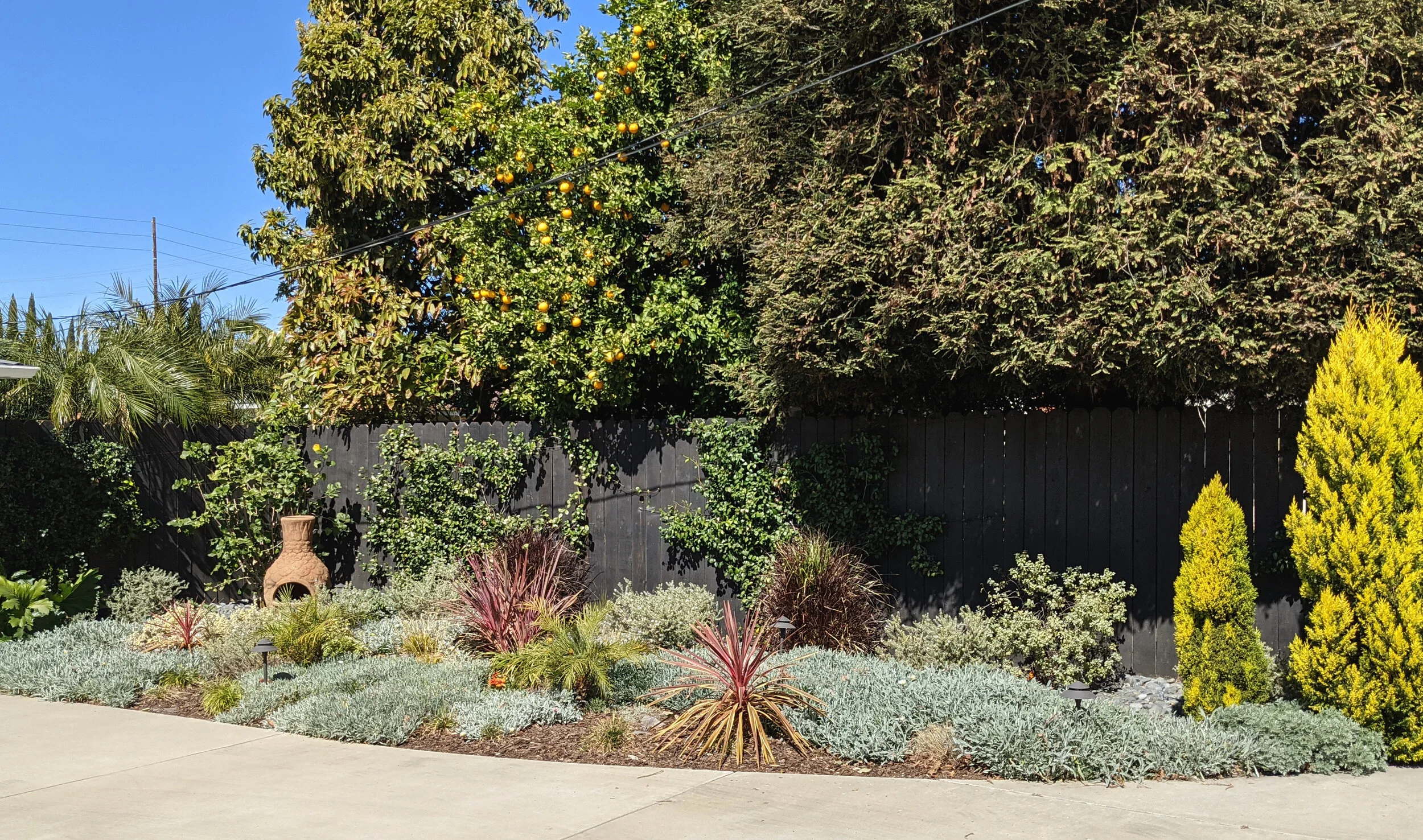 Firmly Planted by Alicia Blas