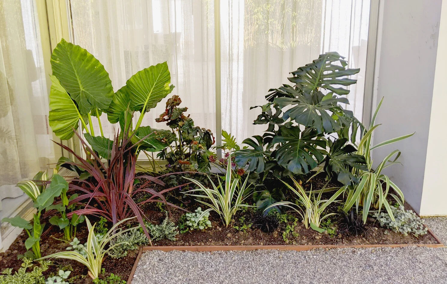 Firmly Planted by Alicia Blas