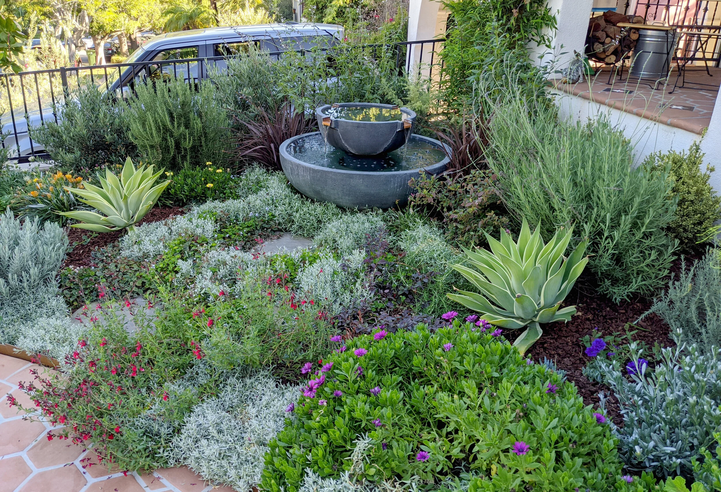 Firmly Planted by Alicia Blas