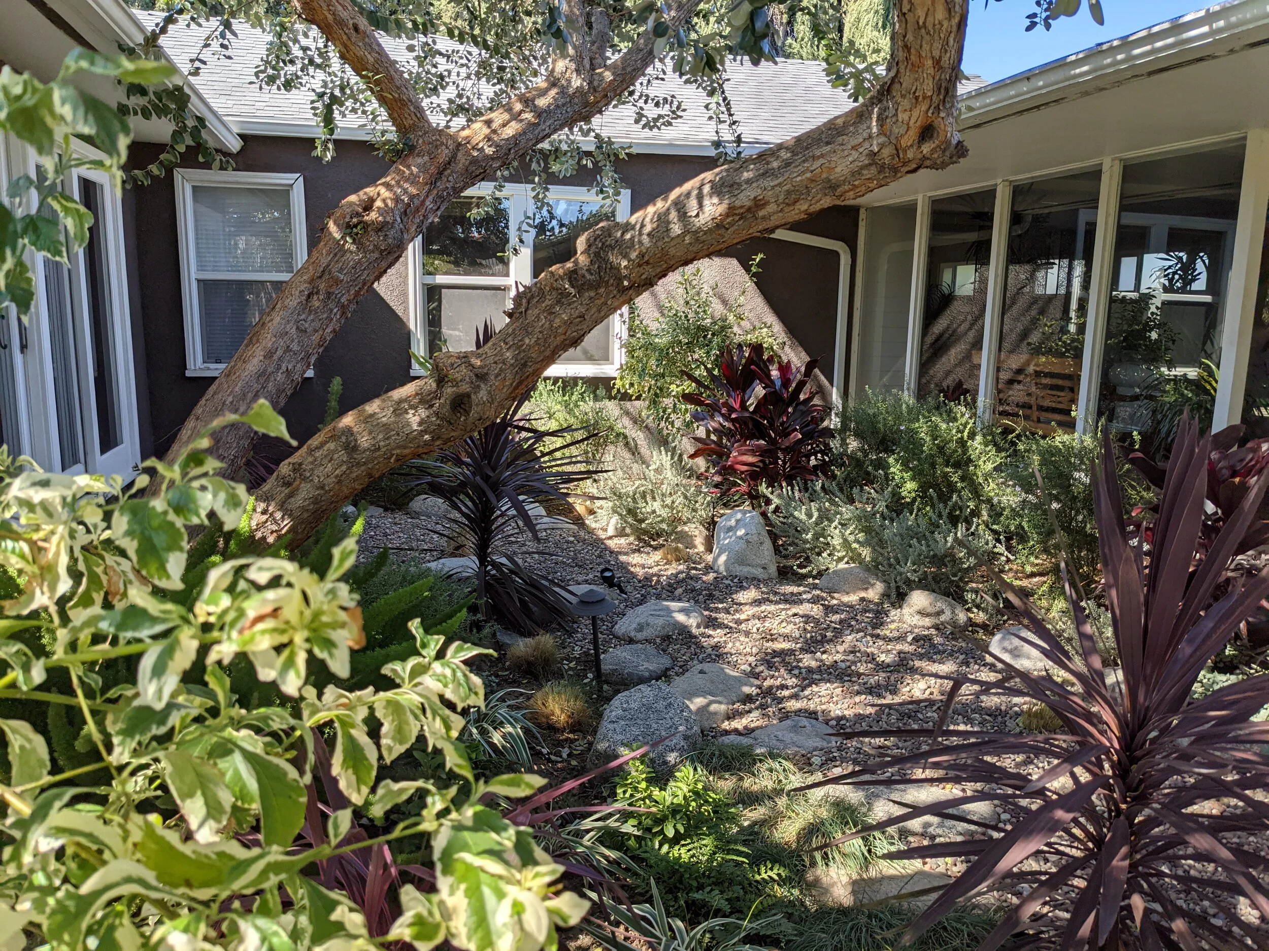 Firmly Planted by Alicia Blas