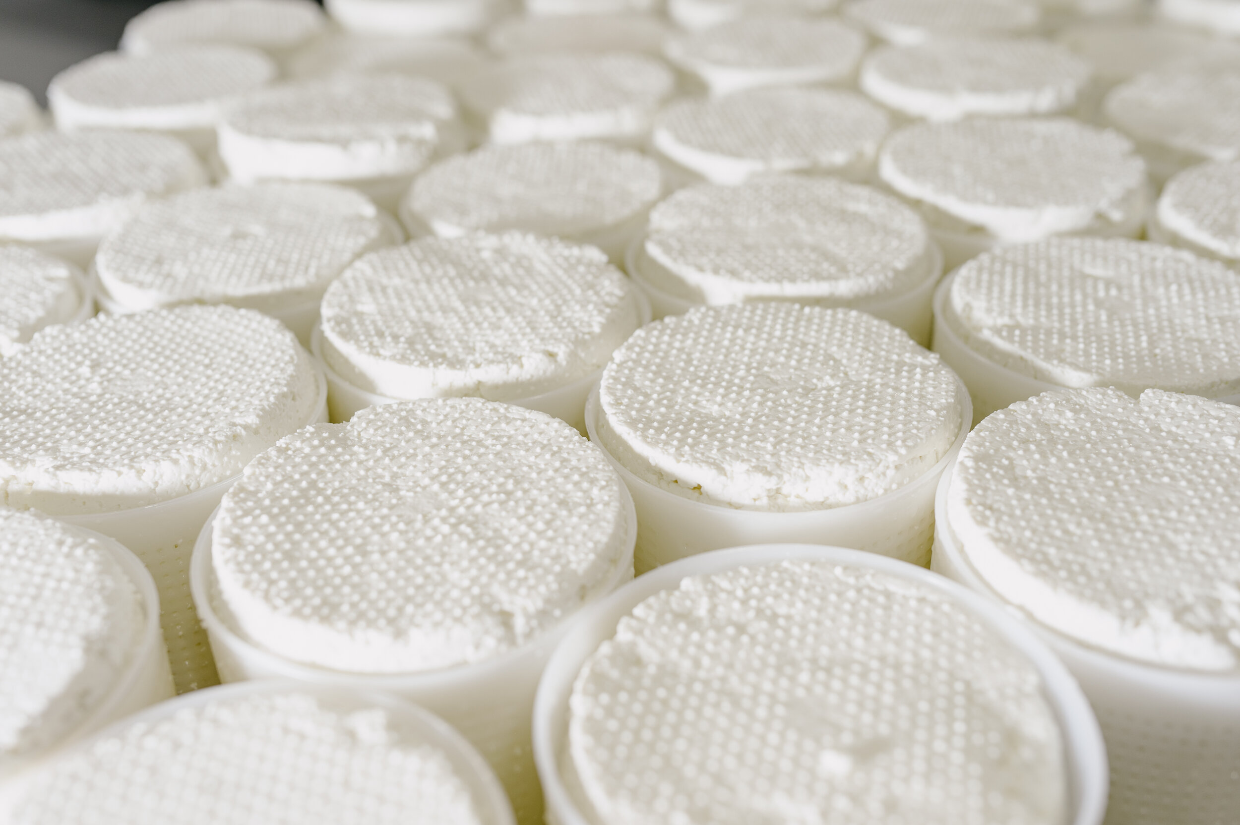 About the Farm + Creamery — Blakesville Creamery