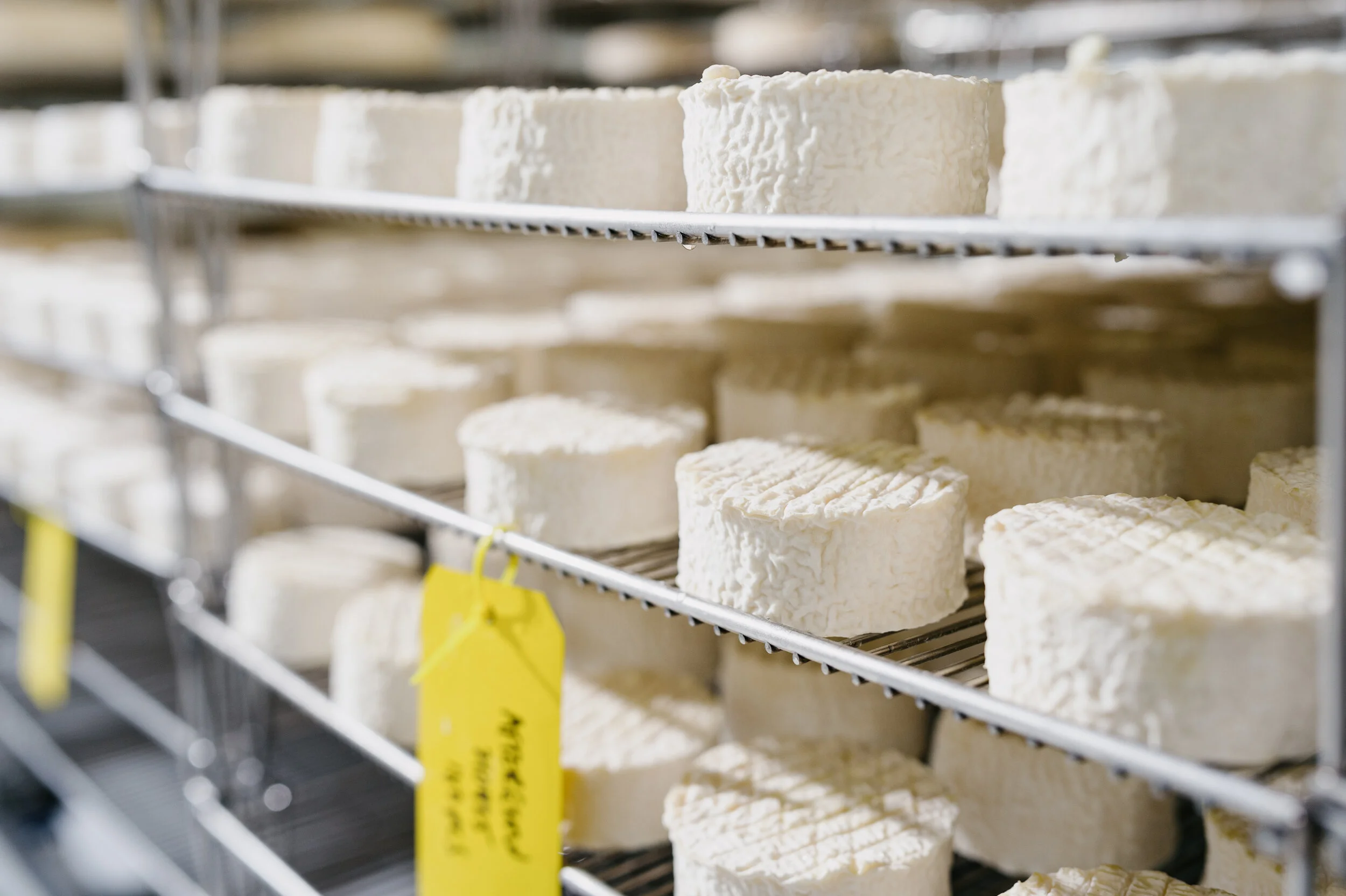 About the Farm + Creamery — Blakesville Creamery