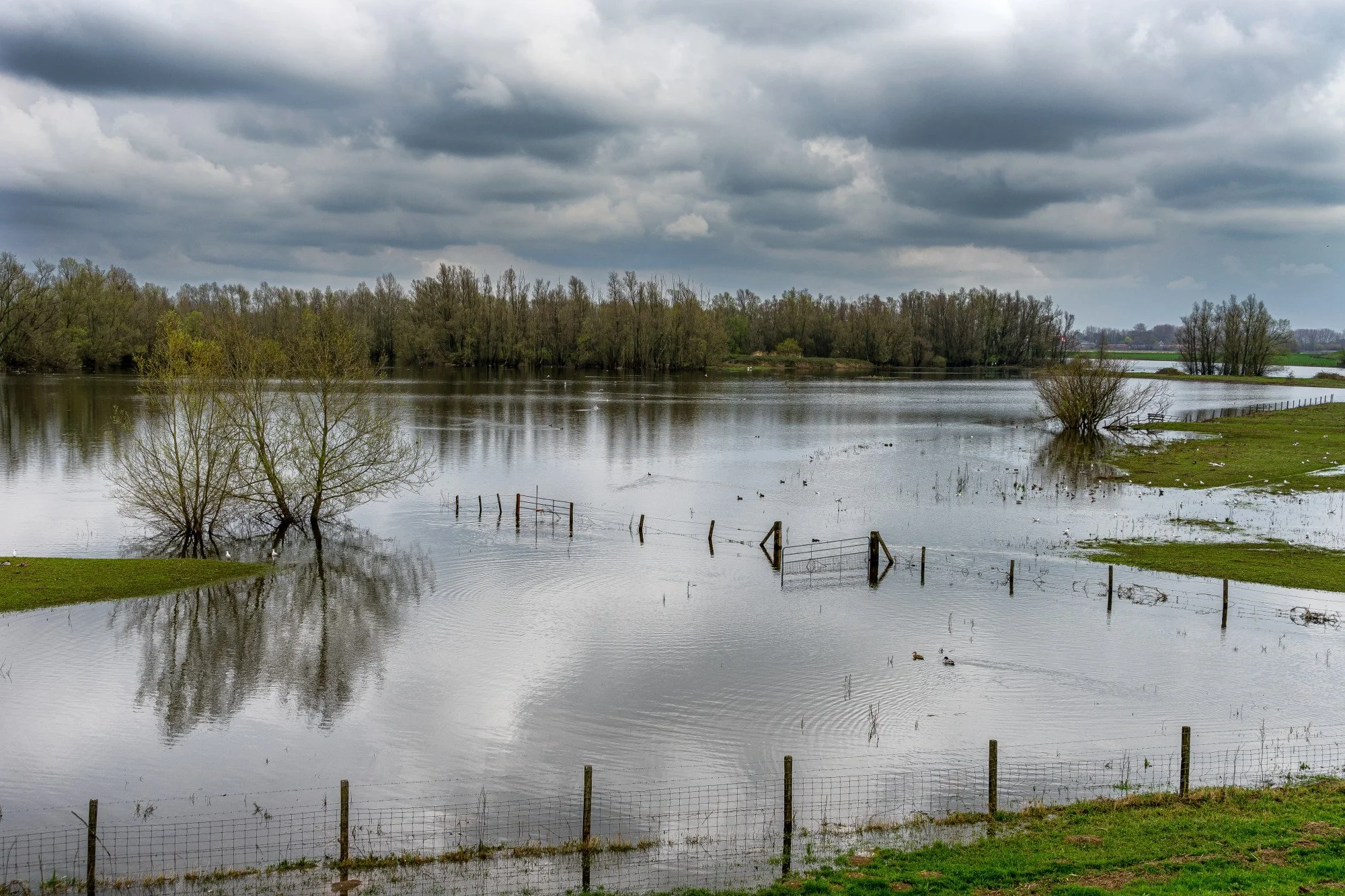 Understanding Seasonal Flood Risks To Keep You Prepared — Garrison ...