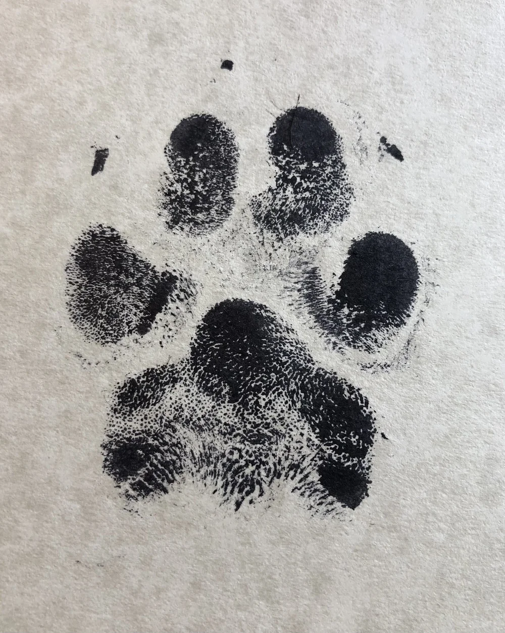 Services 4 — Faithful Friend