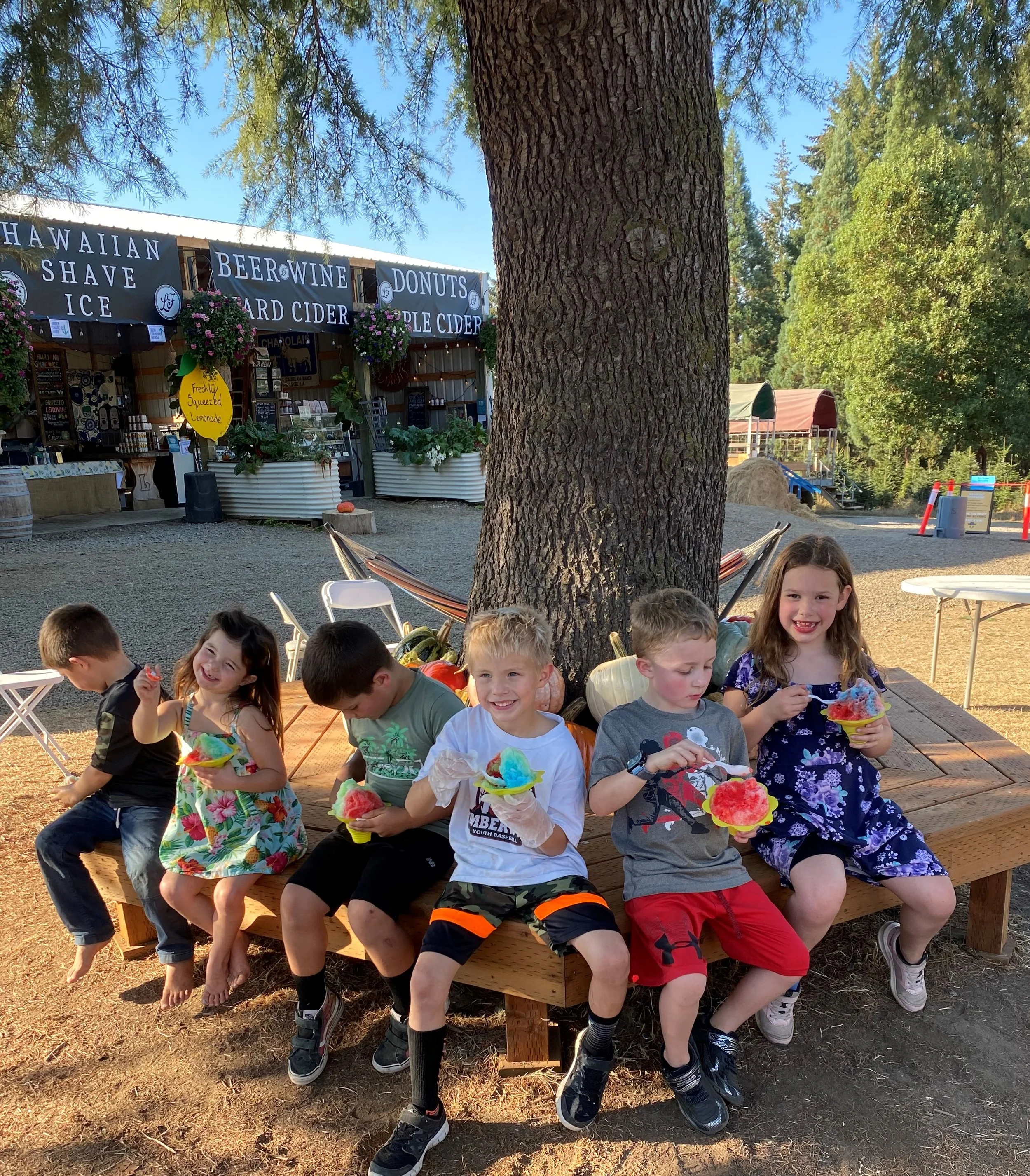 Fall Harvest Pumpkin Patch — Lee Farms
