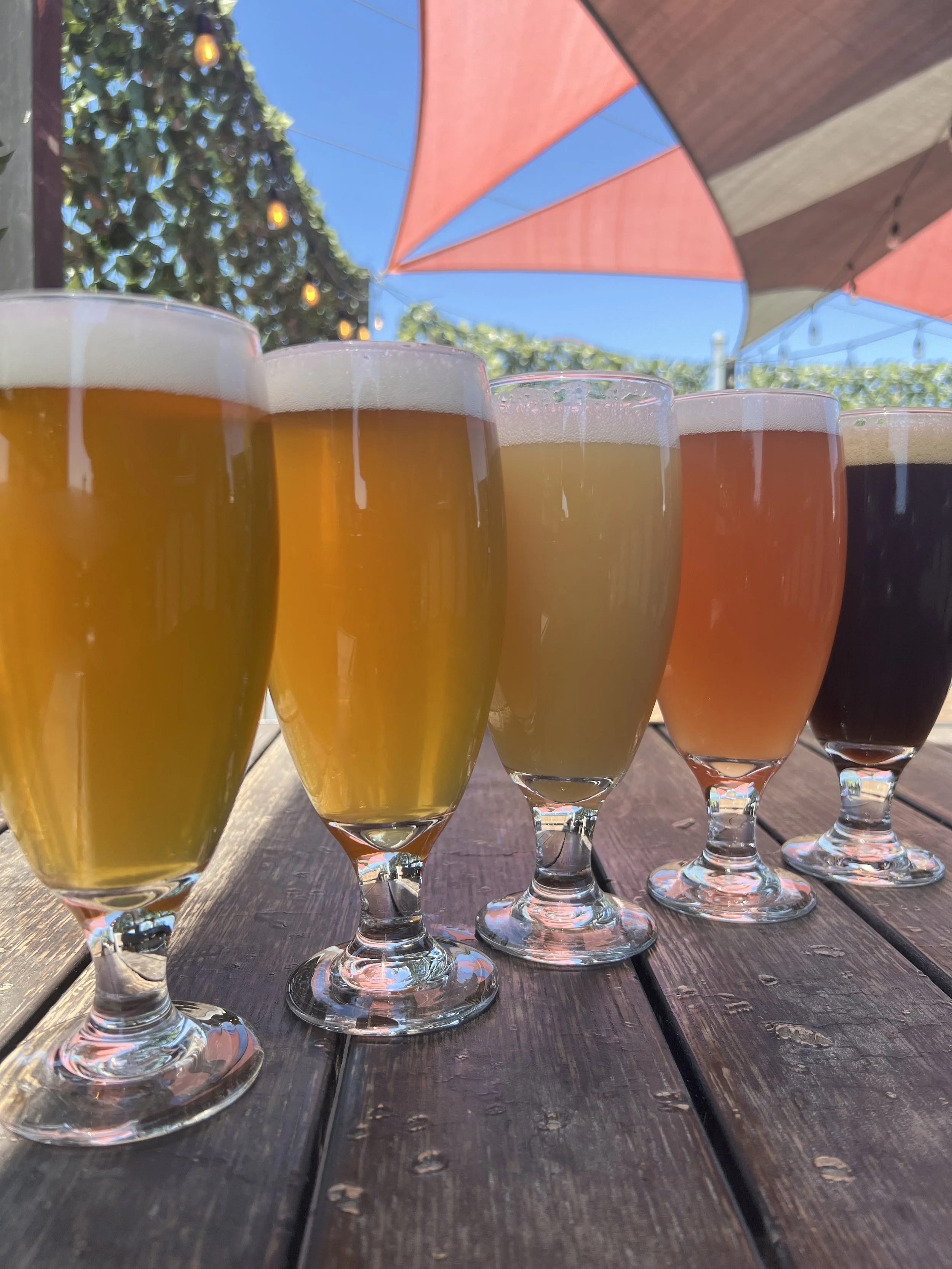 QR LANDING PAGE | Discover, Dine, Join Today — Briar Common Brewery ...