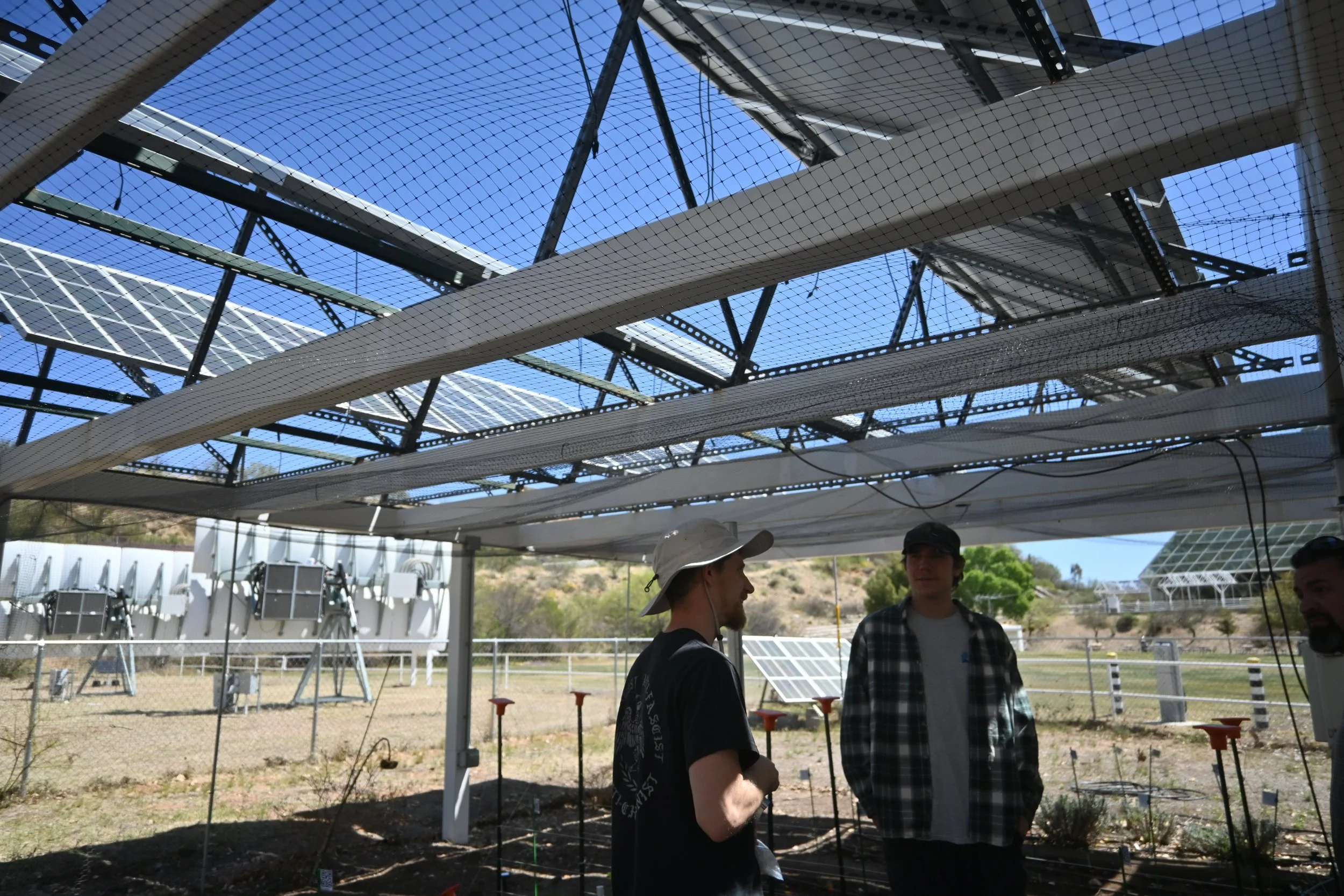 About — AgriSolar Consulting