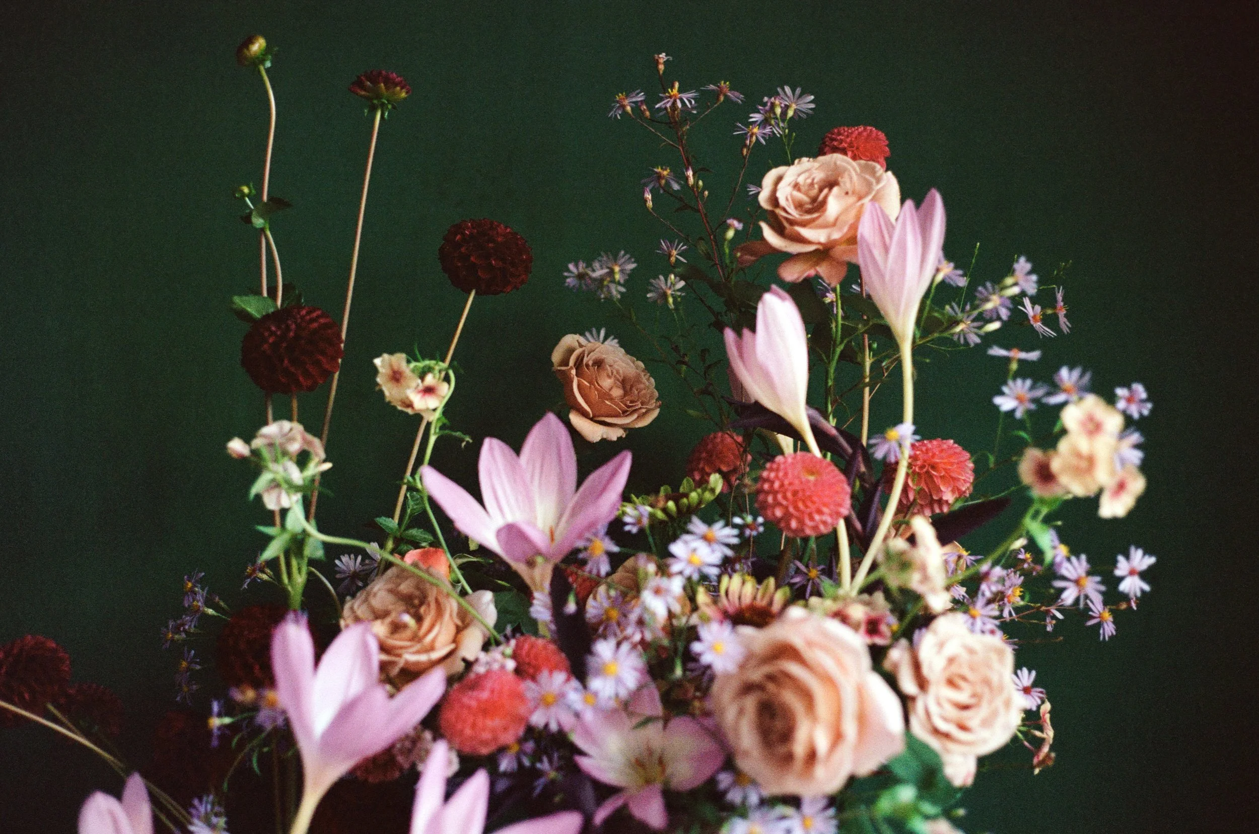 Portland Botanical Photographer