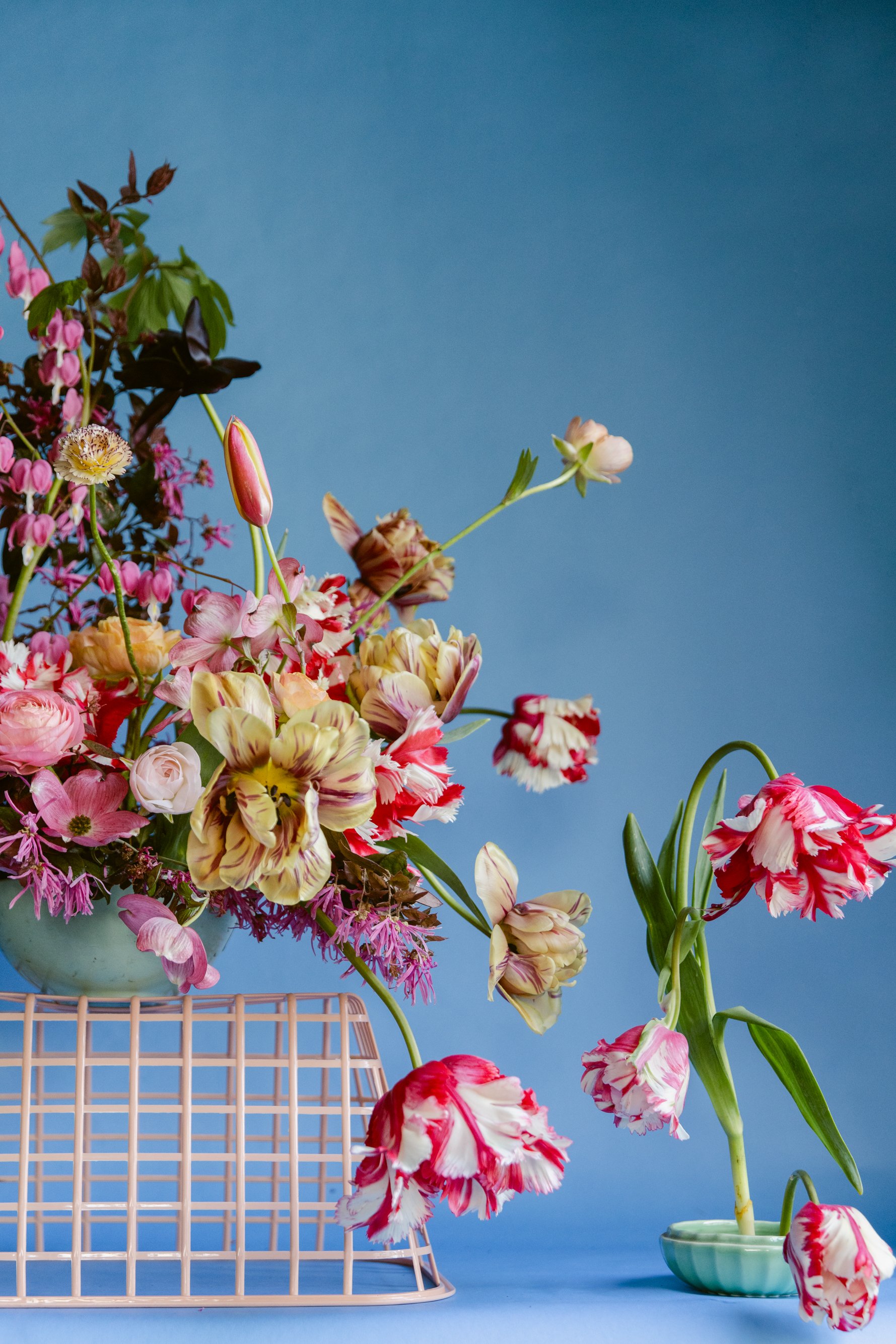 Portland Botanical Photographer