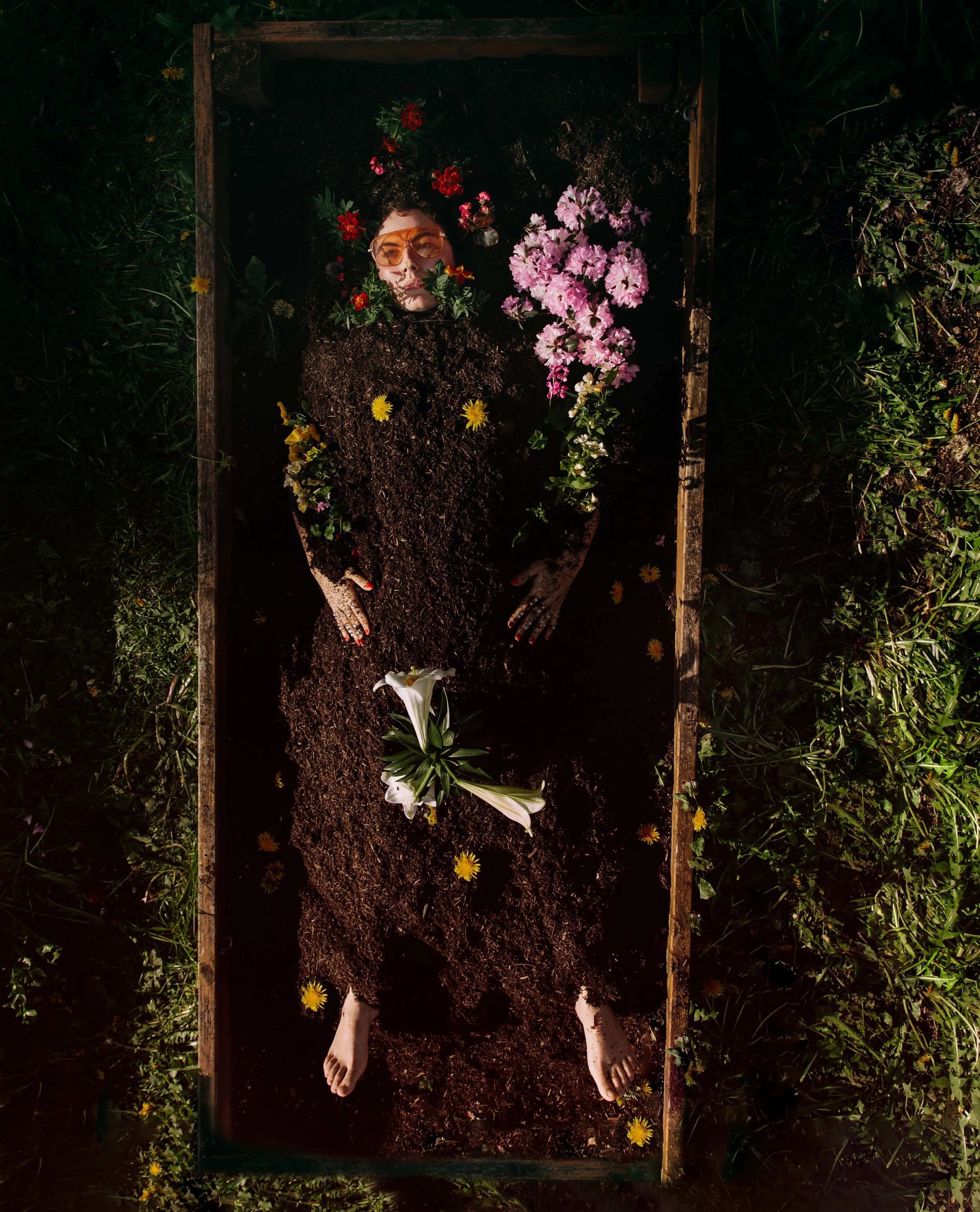 Portland Botanical Photographer