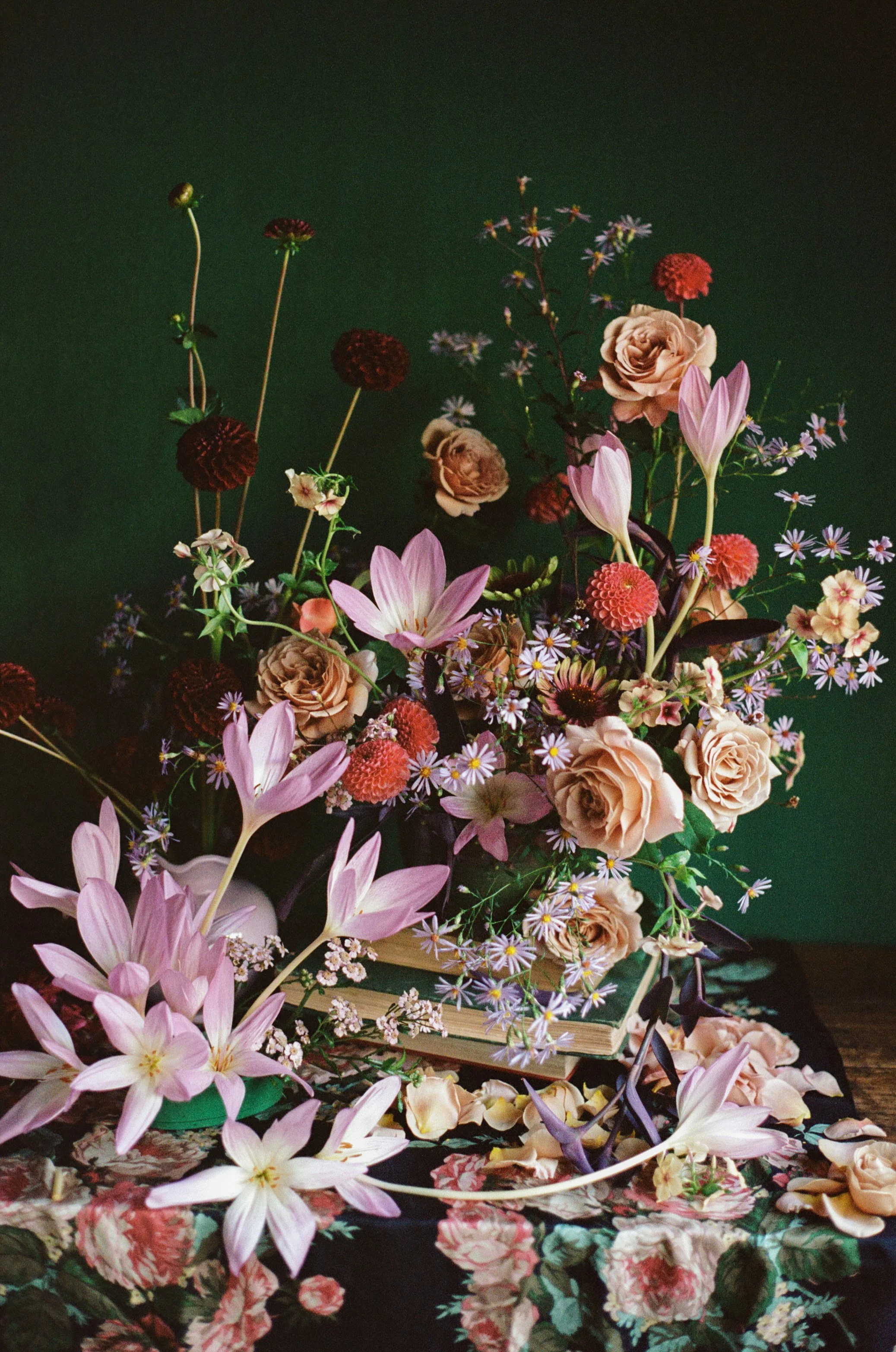 Portland Botanical Photographer