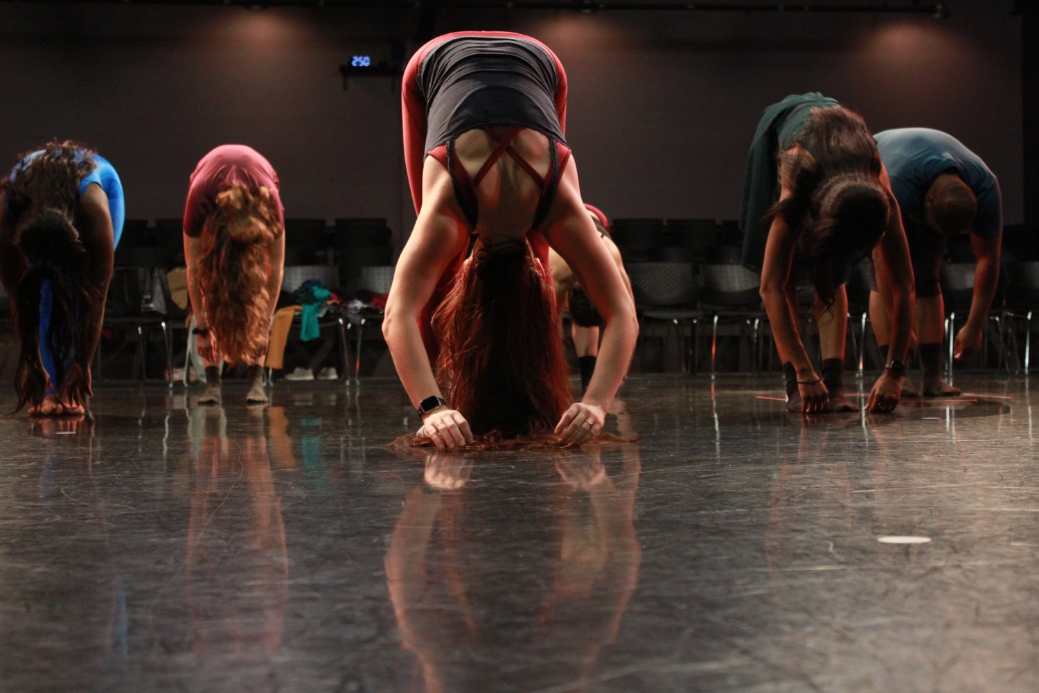 Gradient Dance | Join the Movement Today