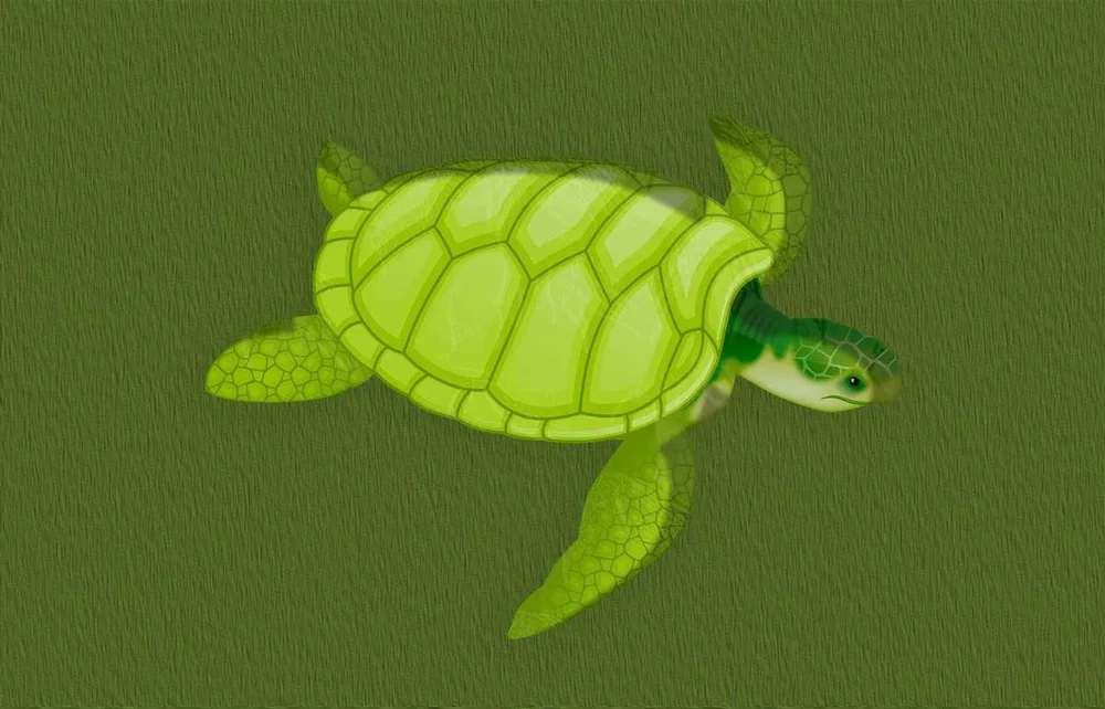 How To Paint A Turtle (Kid Friendly) — Watershed Artworks Gallery