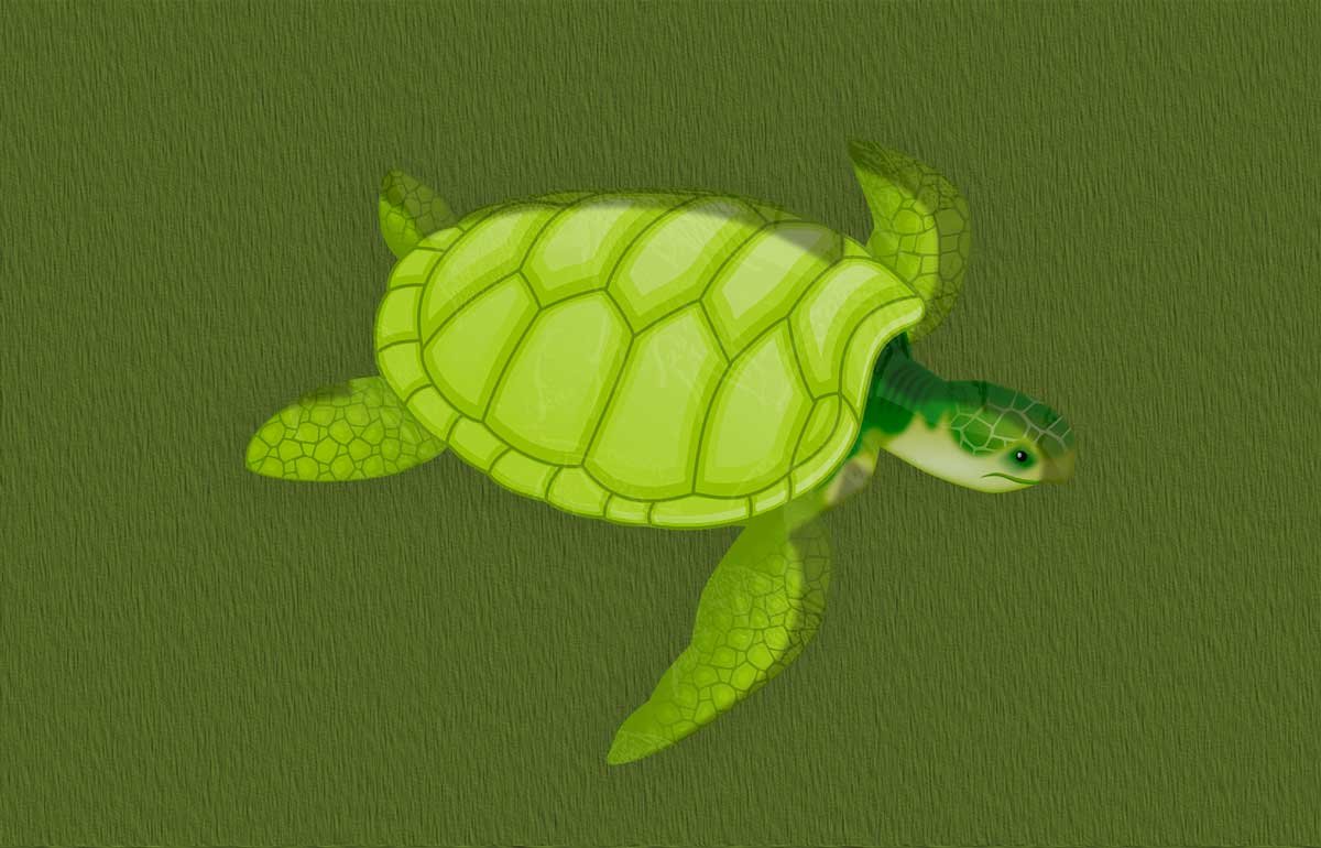 How To Paint A Turtle (Kid Friendly) — Watershed Artworks Gallery