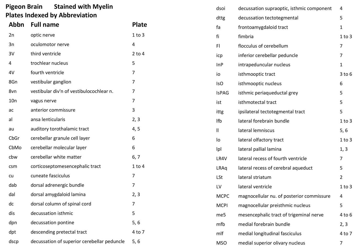 Pathways in the Avian Brain — Comparative Brain Anatomy