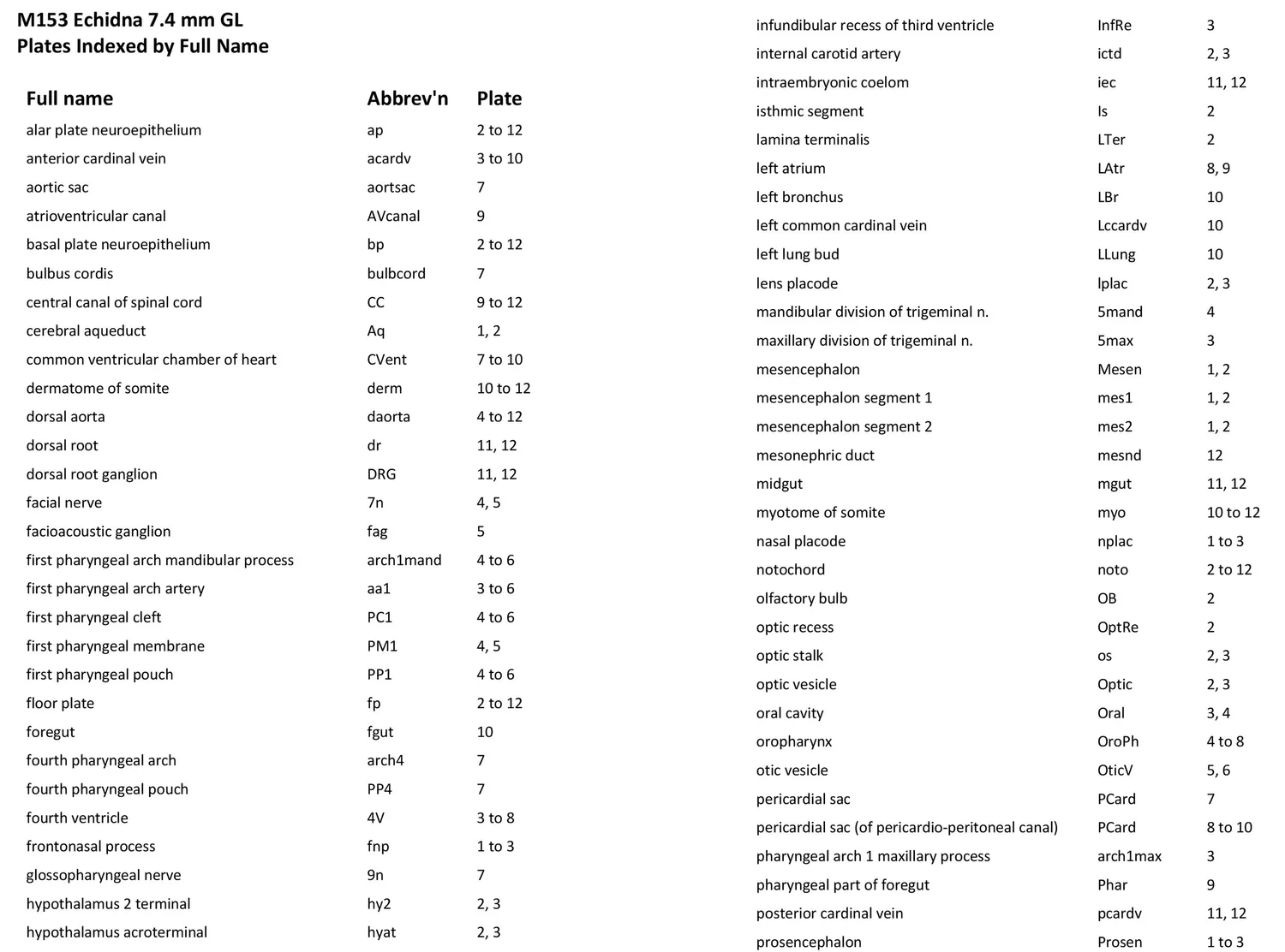 Echidna 7.4 mm GL (incubation) — Comparative Brain Anatomy