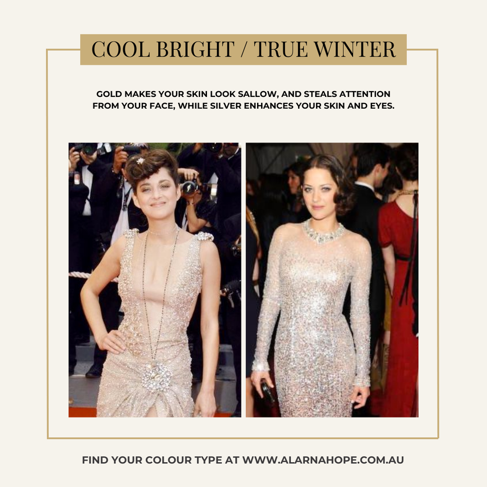 True Winter Colour Palette, Makeup & Colour Guide - Downloadable Swatch ...