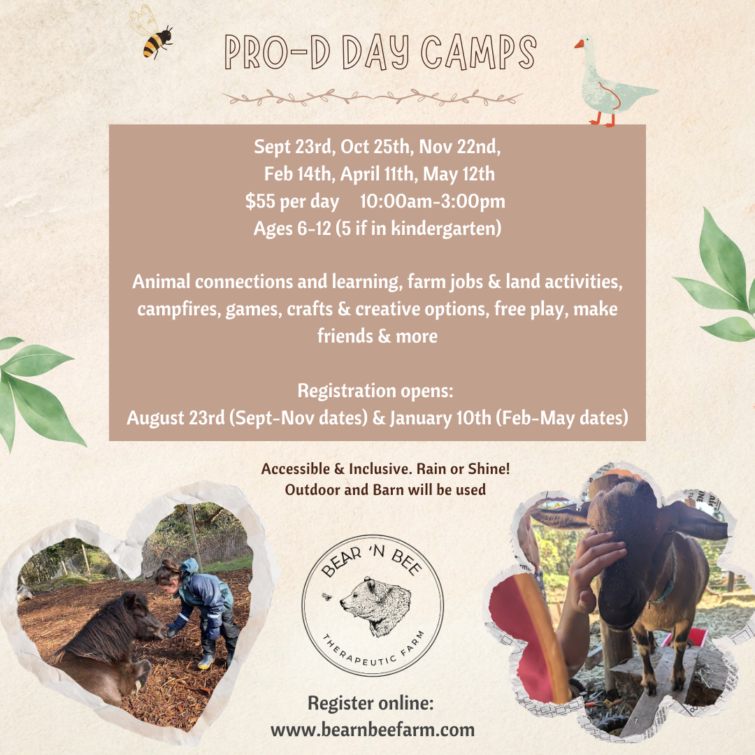 Bear N Bee Farm