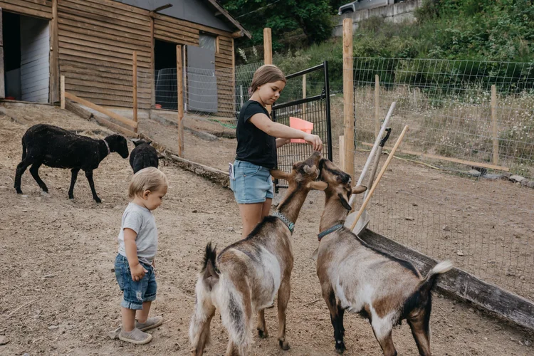 Bear N Bee Farm