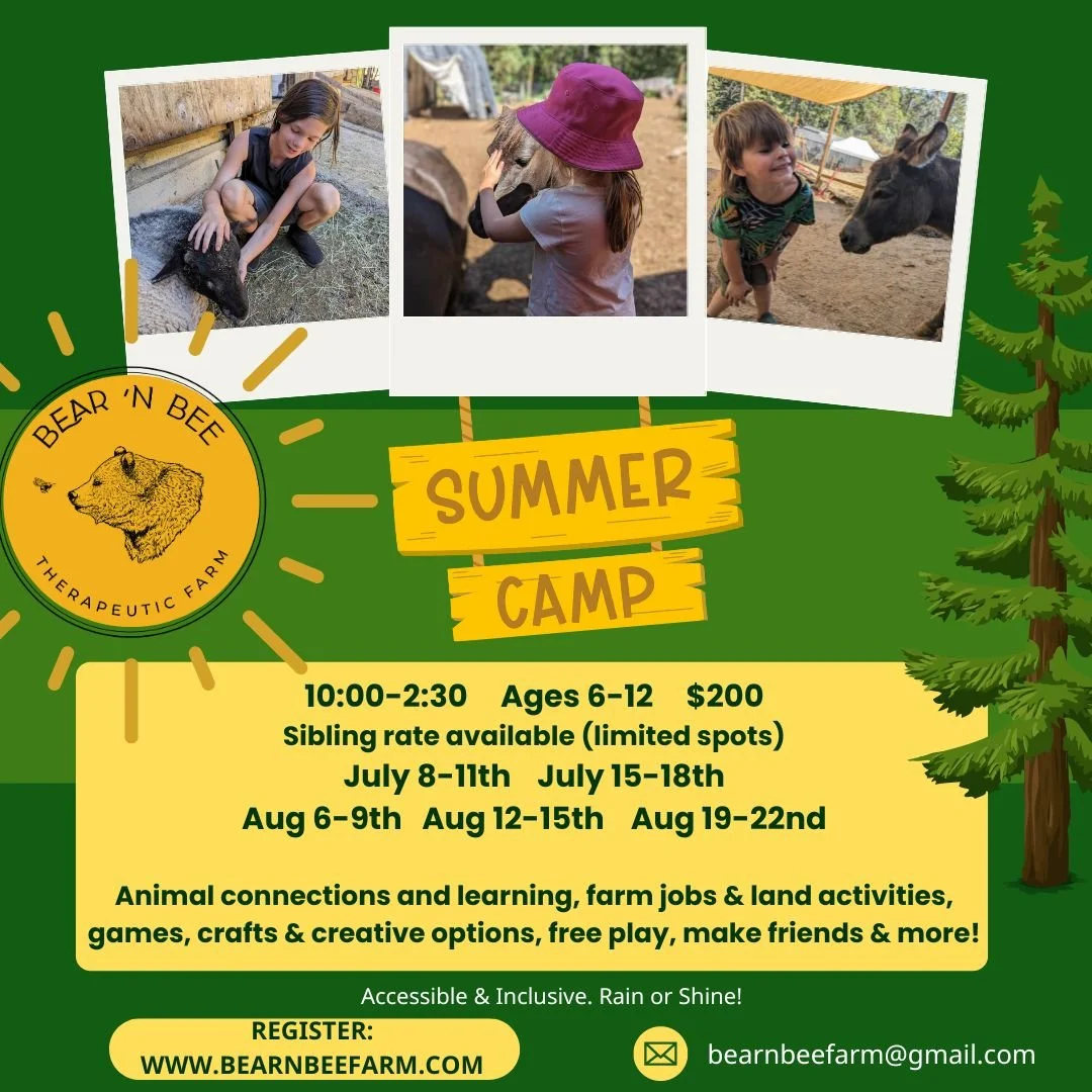Bear N Bee Farm