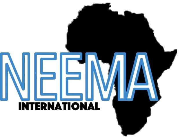 Assets — Neema International