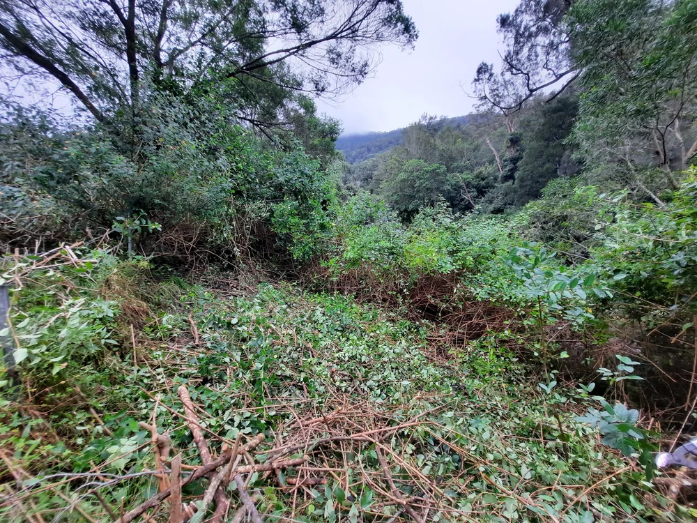 Natural Areas Restoration — Whipbird Environmental