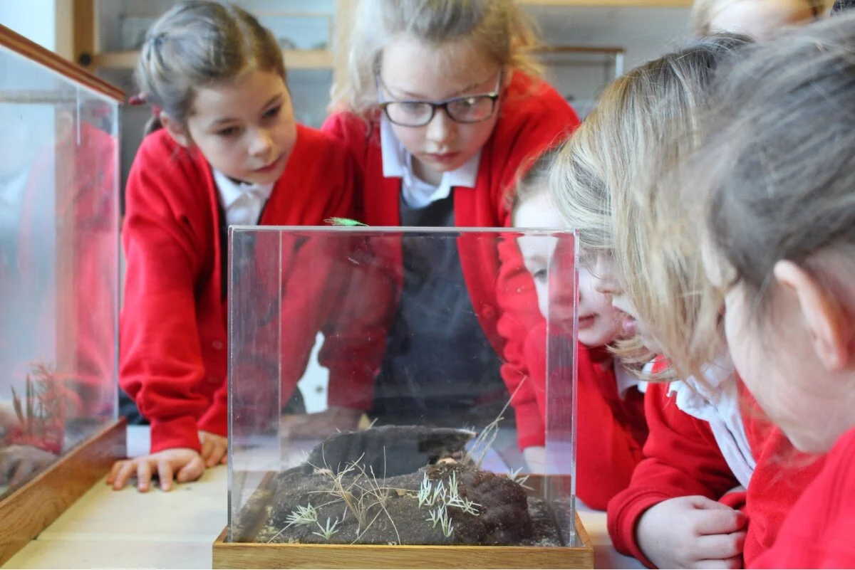 Museums and Galleries | Heritage Education Trust