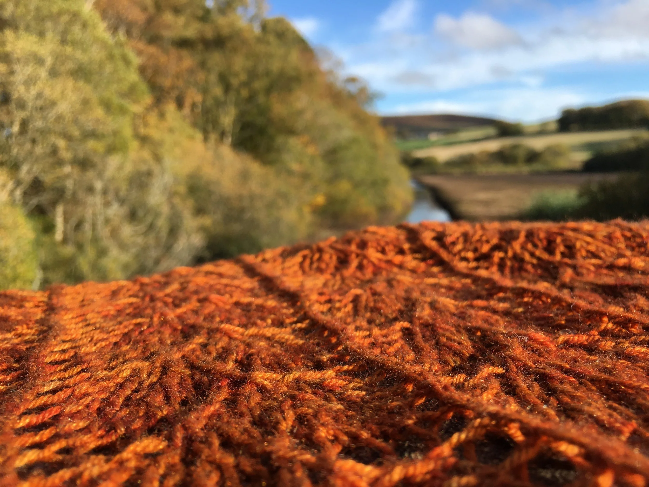 Shop — YarnJournal