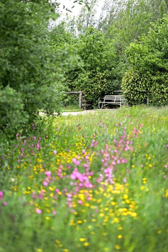 Walks — Kirkharle Courtyard