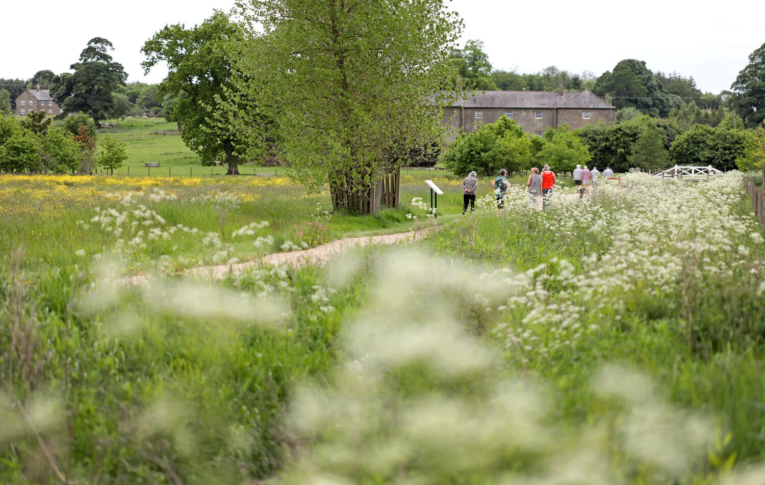Walks — Kirkharle Courtyard