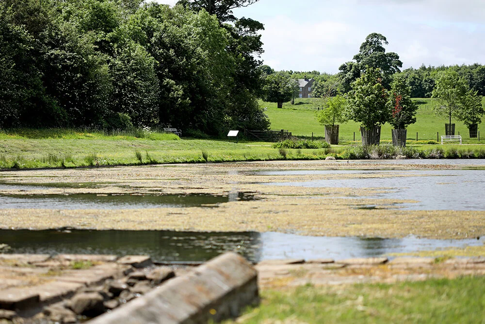 The Serpentine Lake — Kirkharle Courtyard