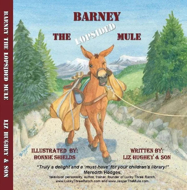Rock With Barney Donkey