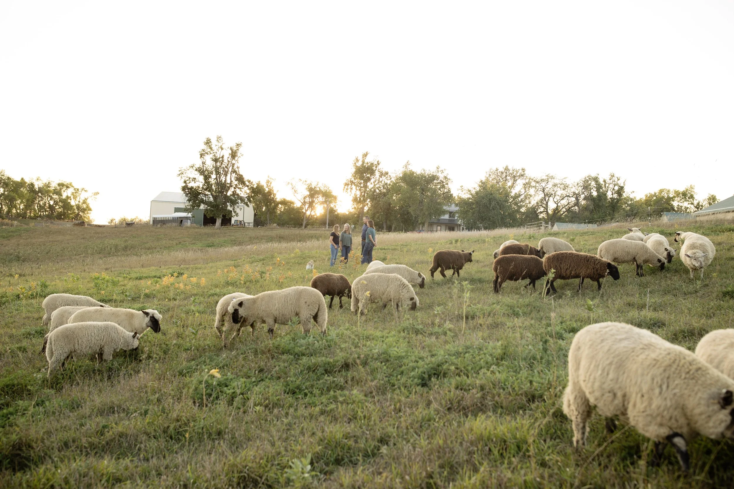 About — Prairie Coteau Farm
